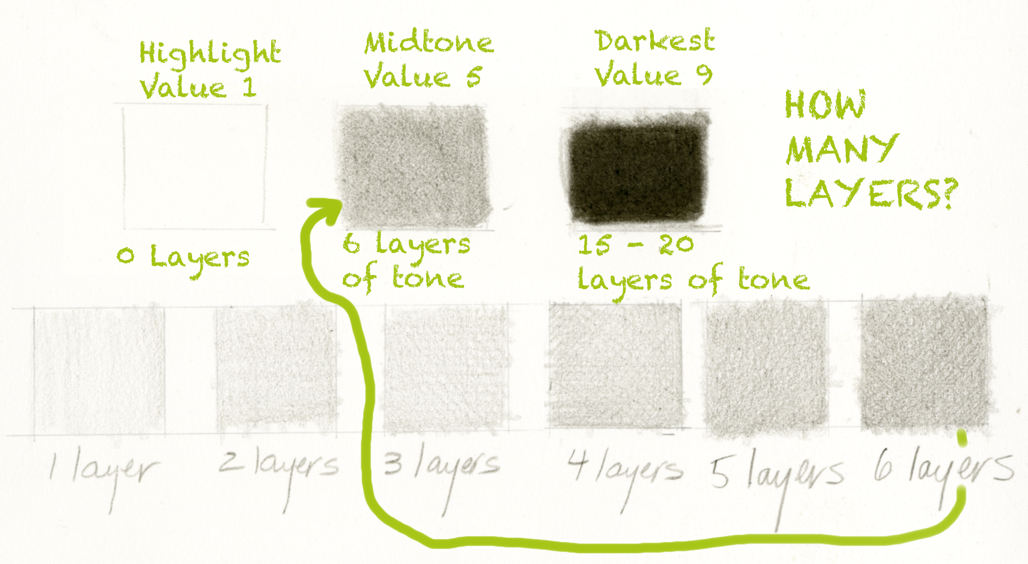 Lesson 3: Three Tone Values - Draw Botanical LLC