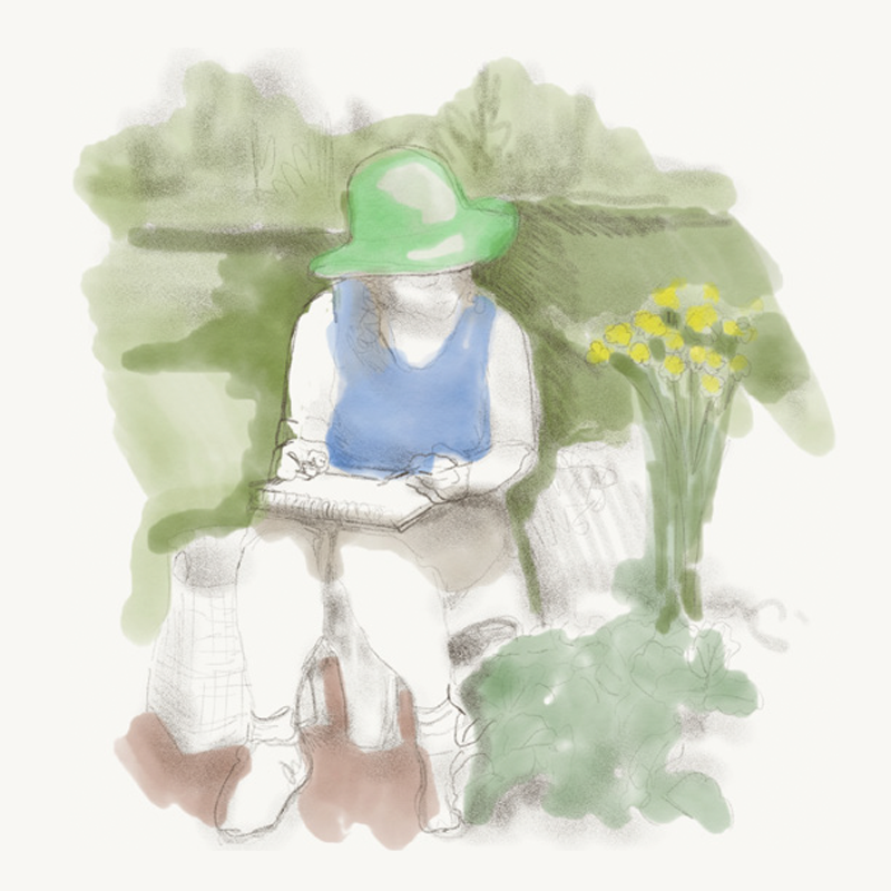 Lesson 7: Plant Exploration - Part 2 - Draw Botanical LLC