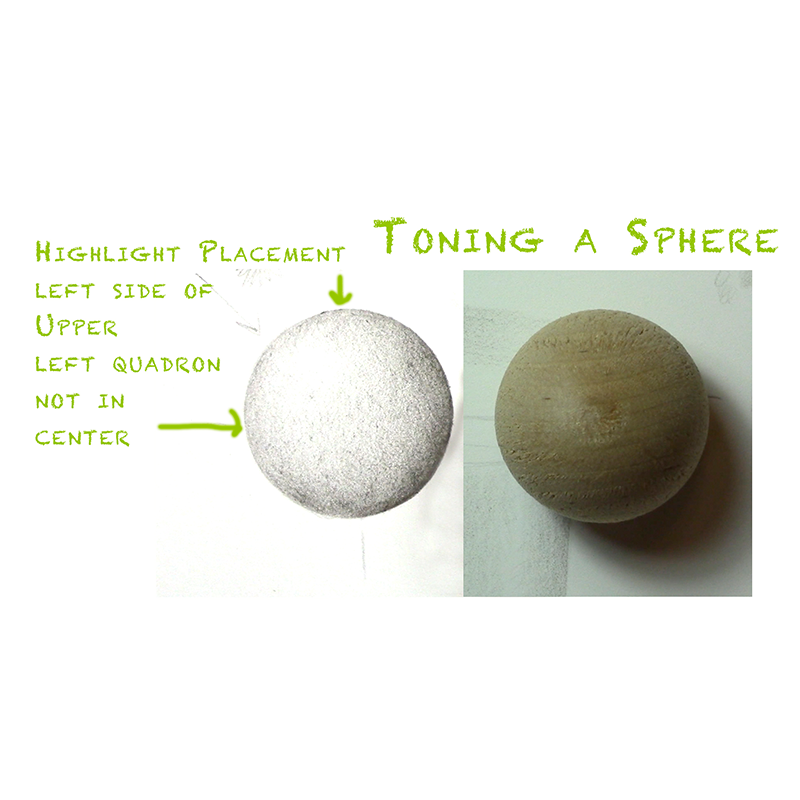 Lesson 10: Toning a Sphere - Draw Botanical LLC