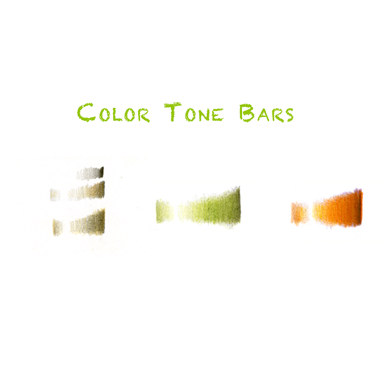 Lesson 13: Color Tone Bars for Branch and Tomato - Draw Botanical LLC