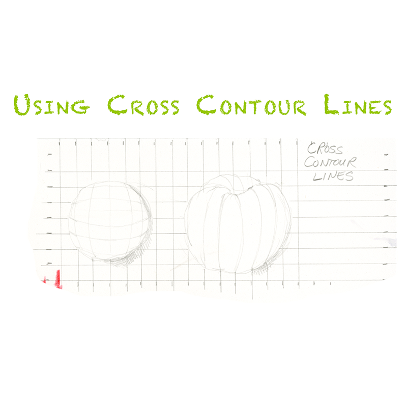 Lesson 26: Cross-Contour - Draw Botanical LLC