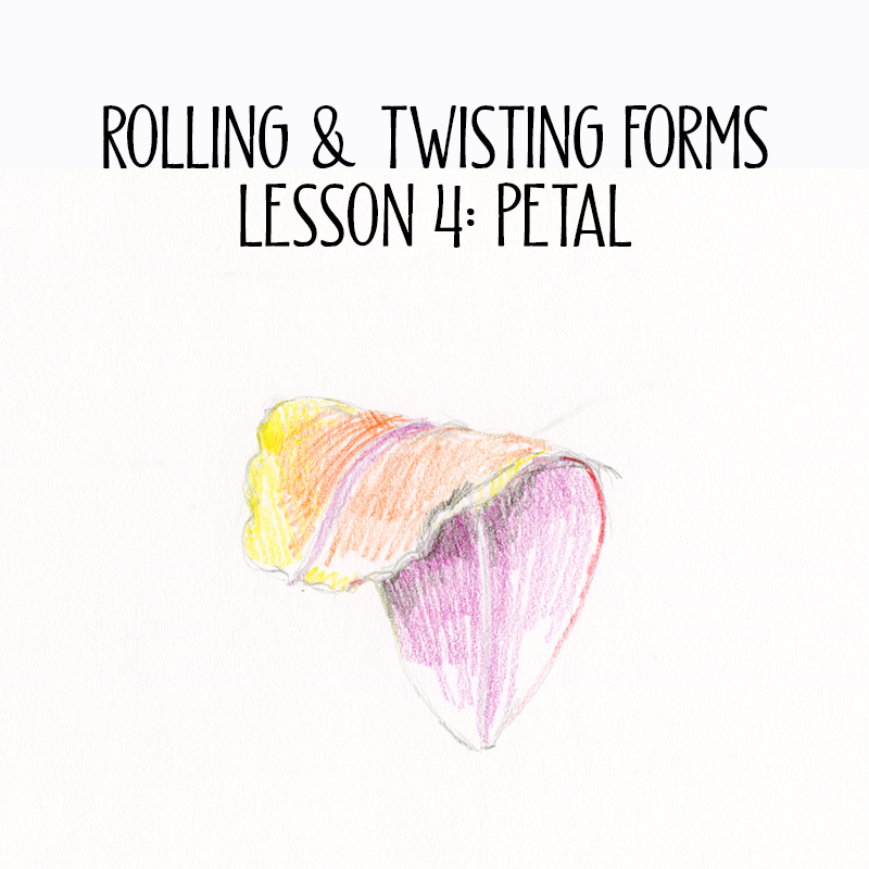 Lesson 37: Petal - Draw Botanical LLC