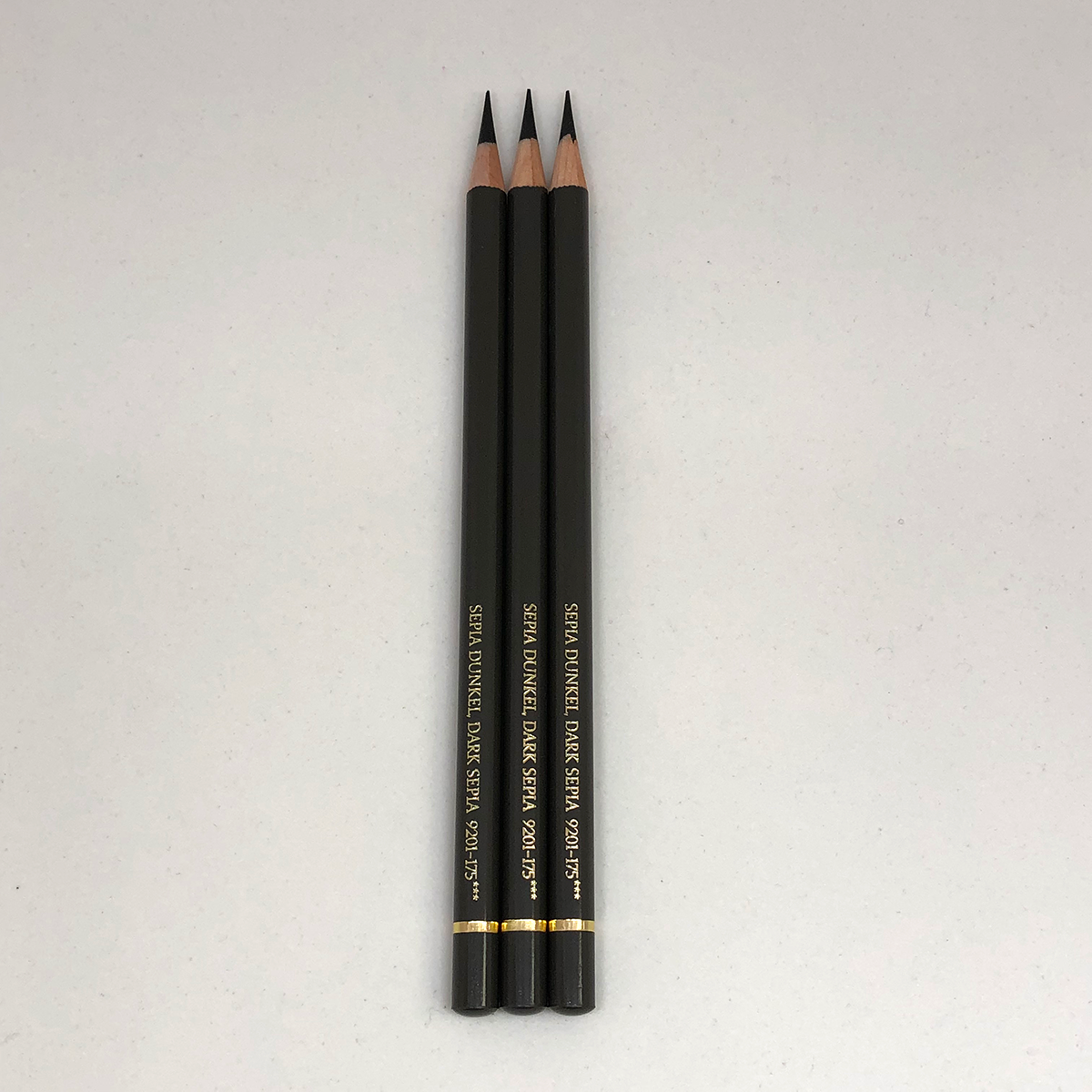 Dark Sepia Polychromos Pencil - Set of 3 - Draw Botanical
