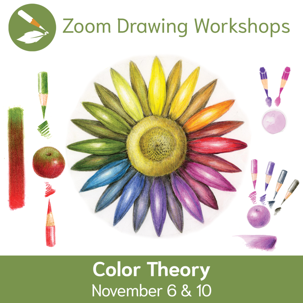 Practicing Color Theory - Draw Botanical LLC