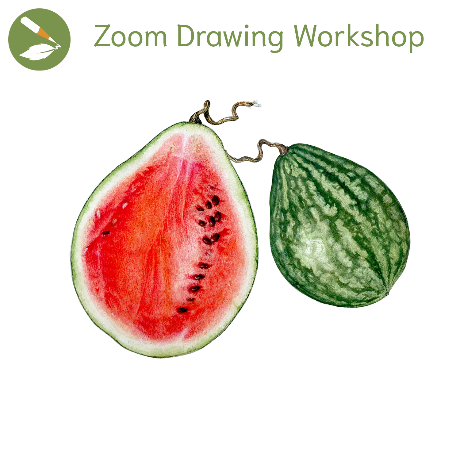 Texture: The Key to Realistic Botanical Art - Draw Botanical LLC